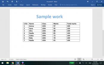 Data entry project typing work in MS Word